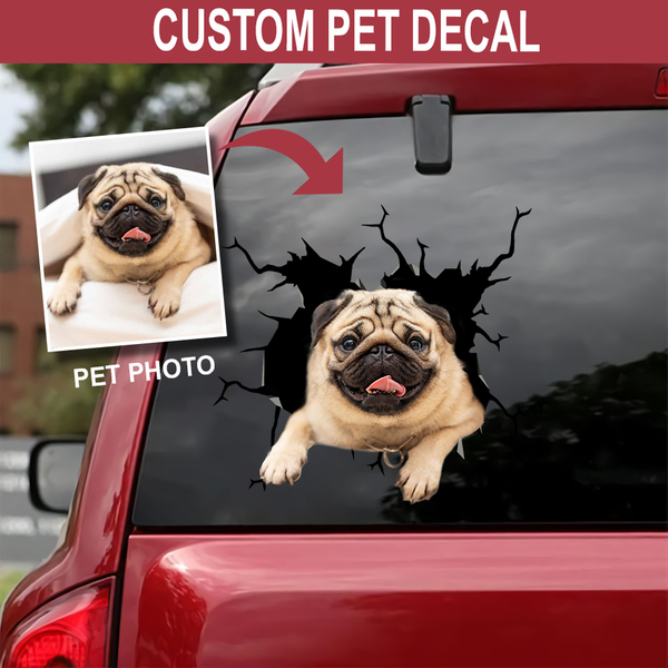 Car Stickers - Bugybox