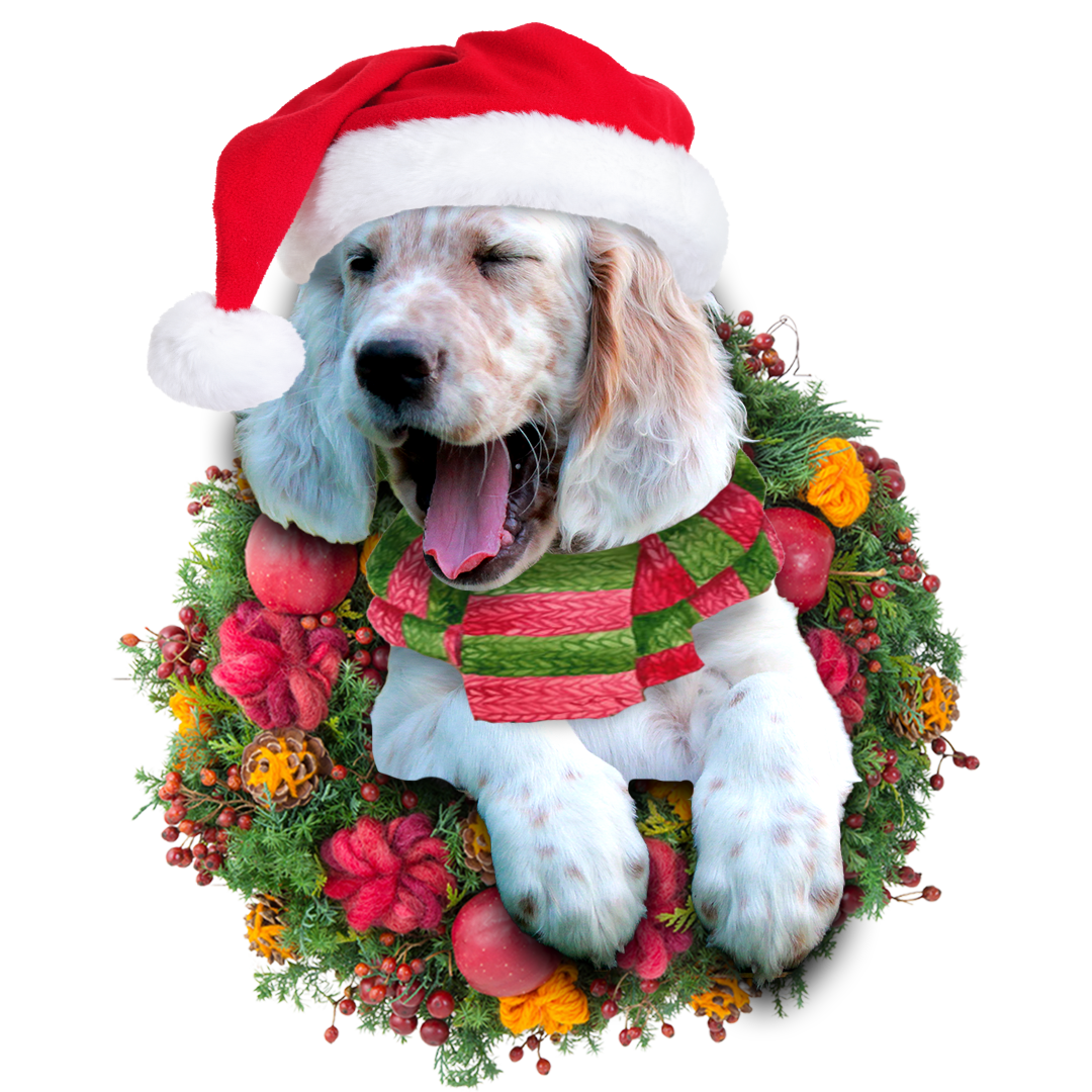 English Setter Christmas Ornament – Bugybox